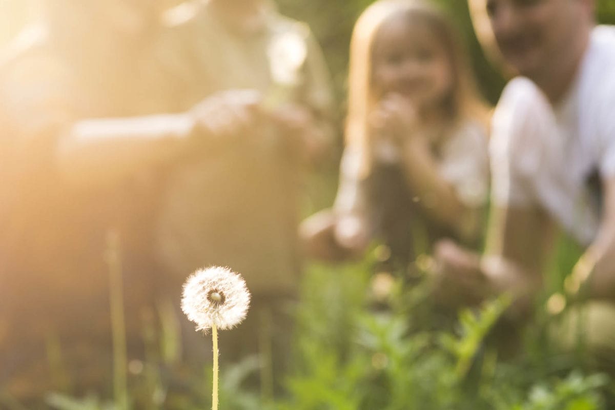 Naturen som udviklingsrum for børn - Seminarer