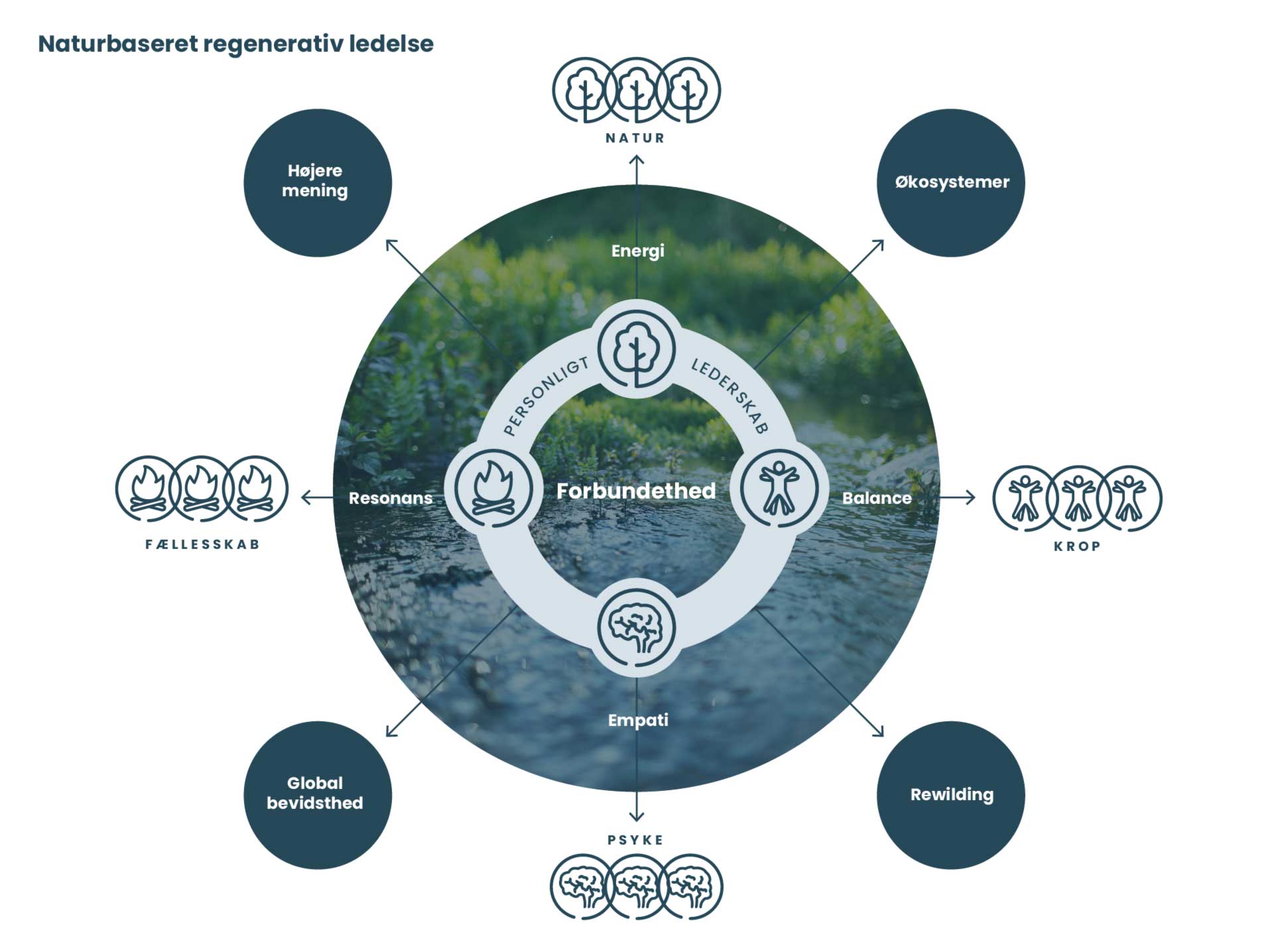 Regenerativ ledelse uddannelse - Med danske eksperter